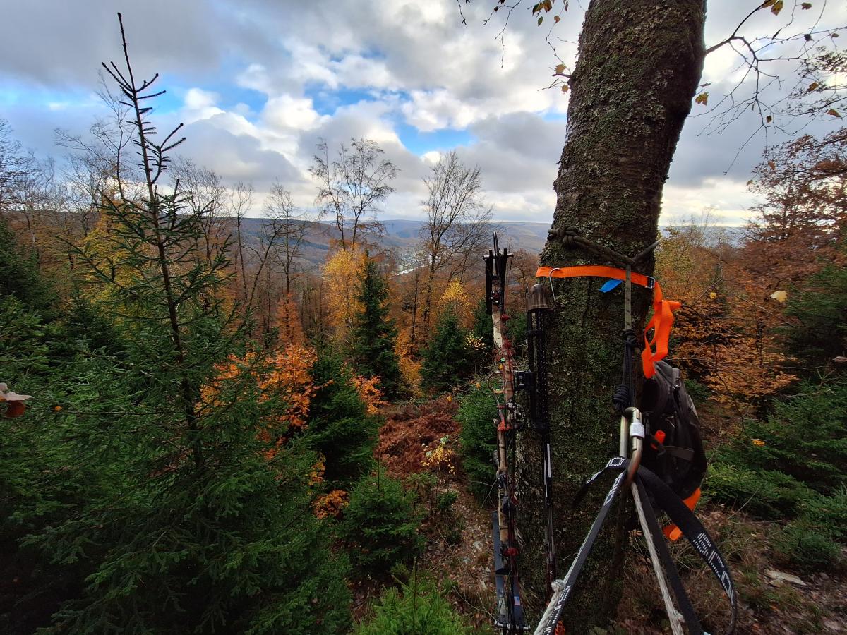 Bowhunting countries in Europe | EBF